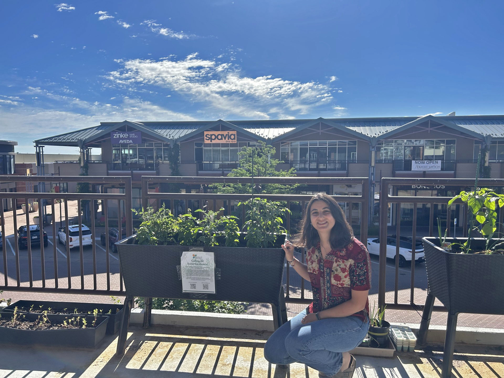 Sustainability in Bloom: Scout's Community Garden - Scout Clean Energy