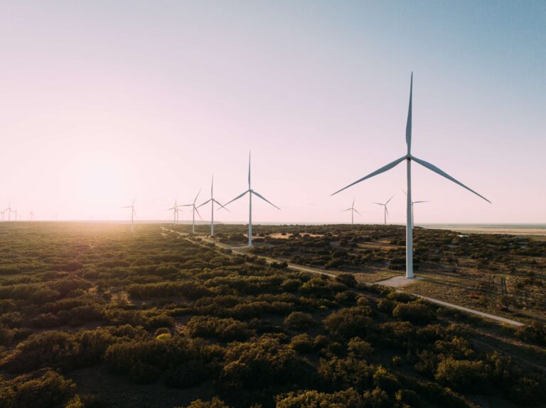 Heart of Texas Wind Farm - Scout Clean Energy