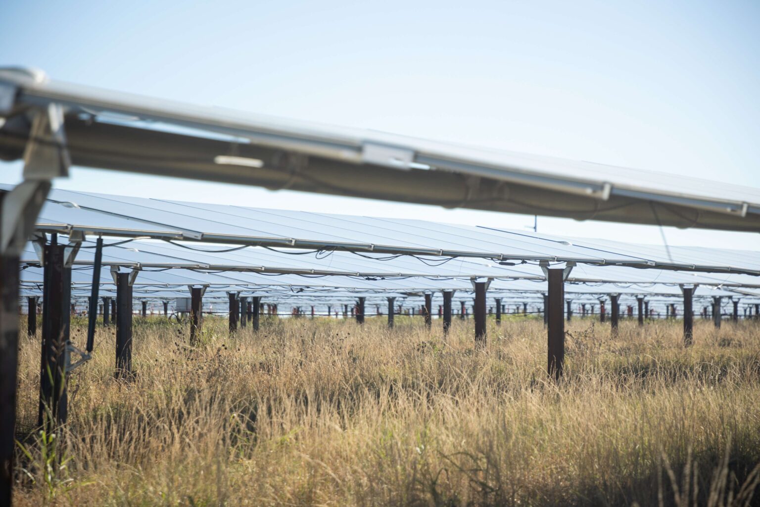 Markum Solar Farm - Scout Clean Energy