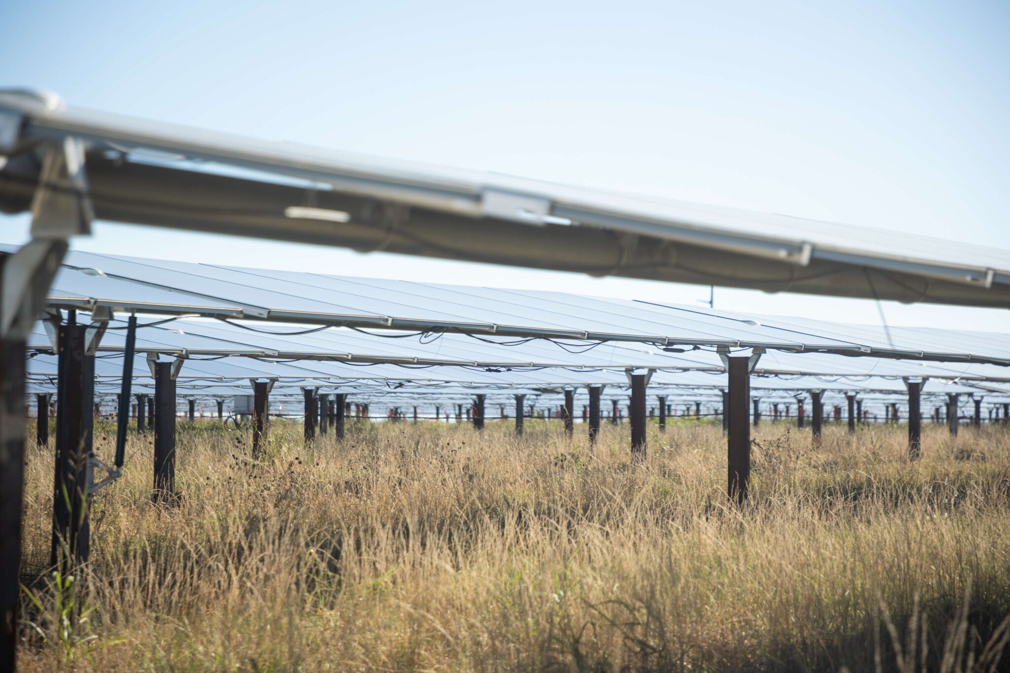 Markum Solar Farm - Scout Clean Energy